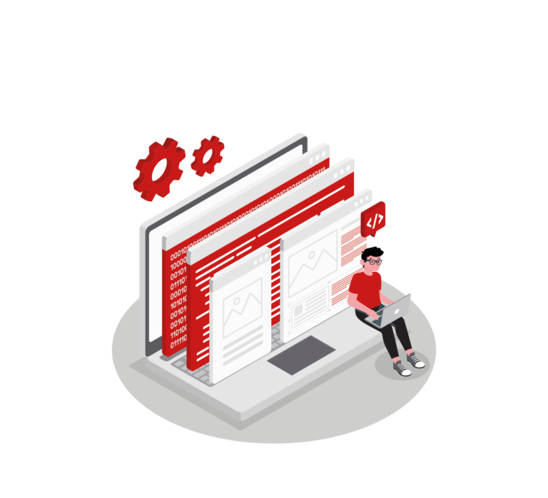 Web Development Solutions - Bynaric Systems Private Limited